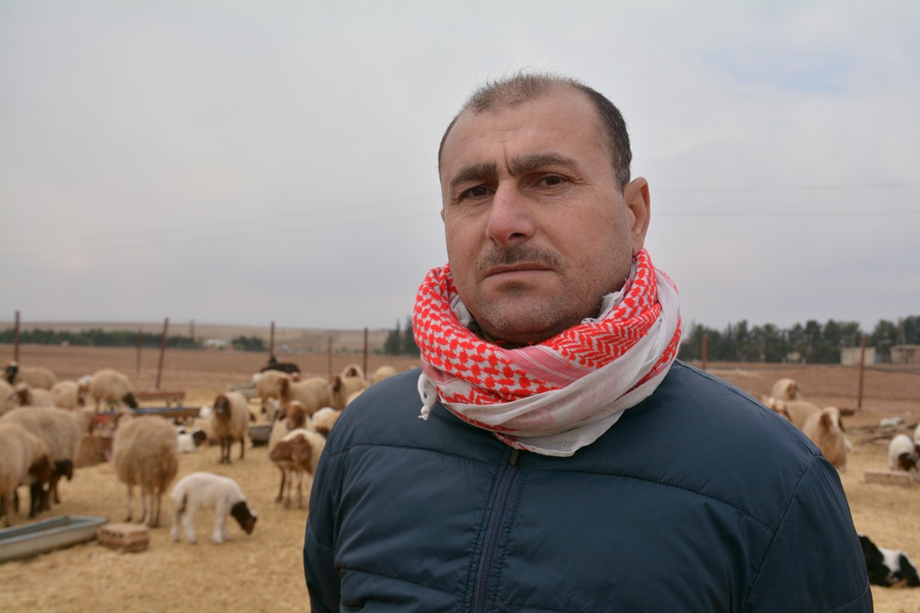 Qamishlo Livestock Cooperative: a Source of Economic Development in ...