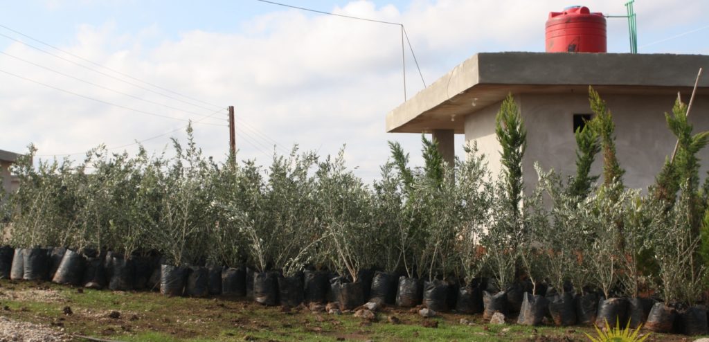 Make Rojava Green Again Picture Gallery November 2018 – Co-operation in ...