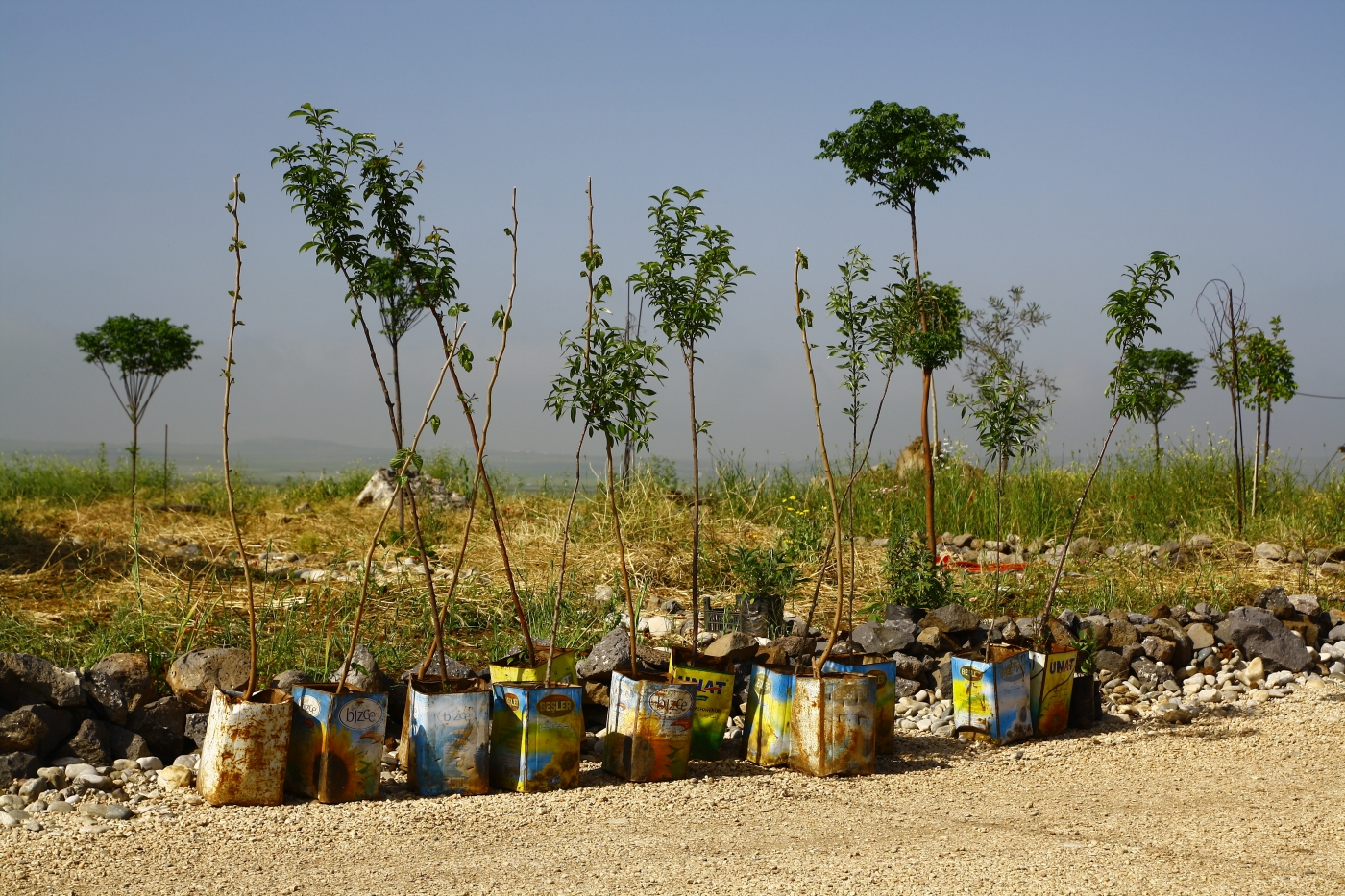 Make Rojava Green Again Picture Gallery April 2019 – Co-operation in ...