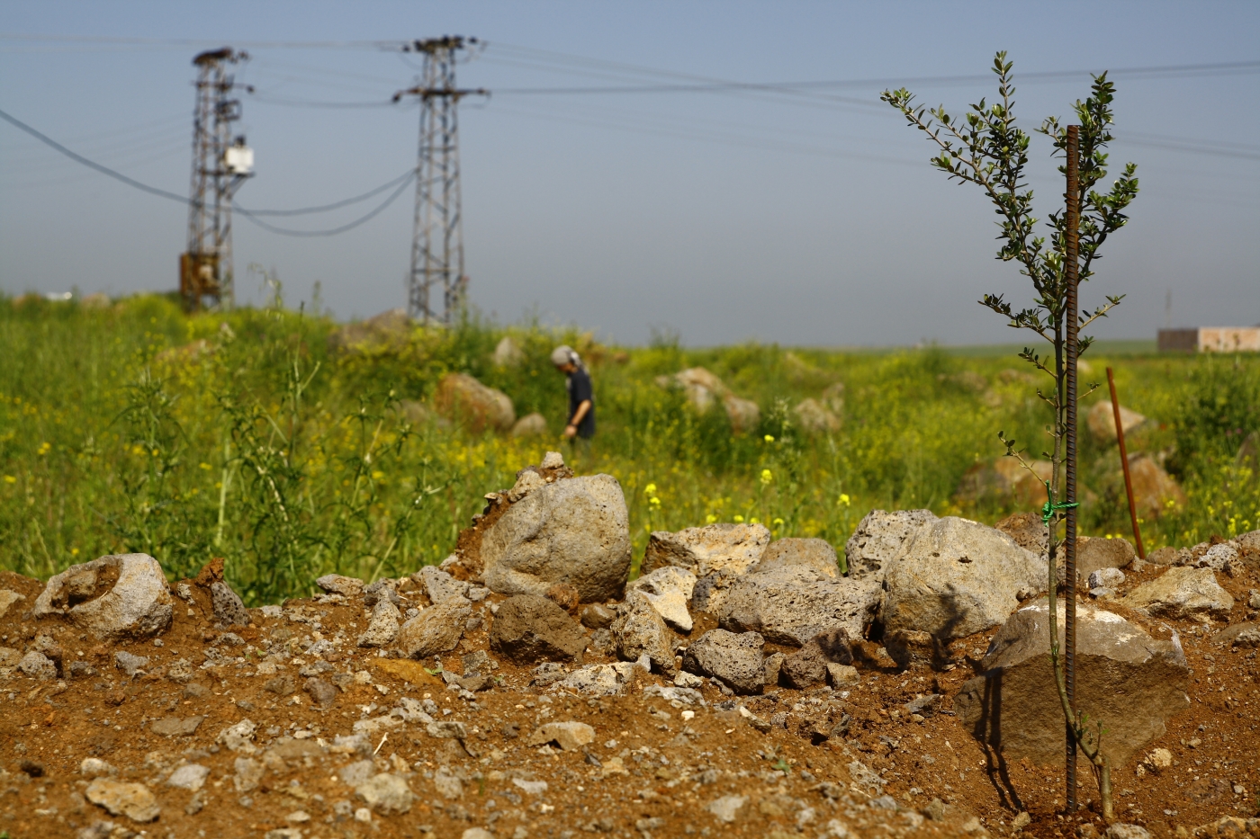Make Rojava Green Again Picture Gallery April 2019 – Co-operation in ...