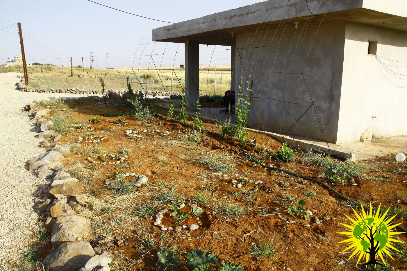 Make Rojava Green Again Picture Gallery May 2019 – Co-operation in ...