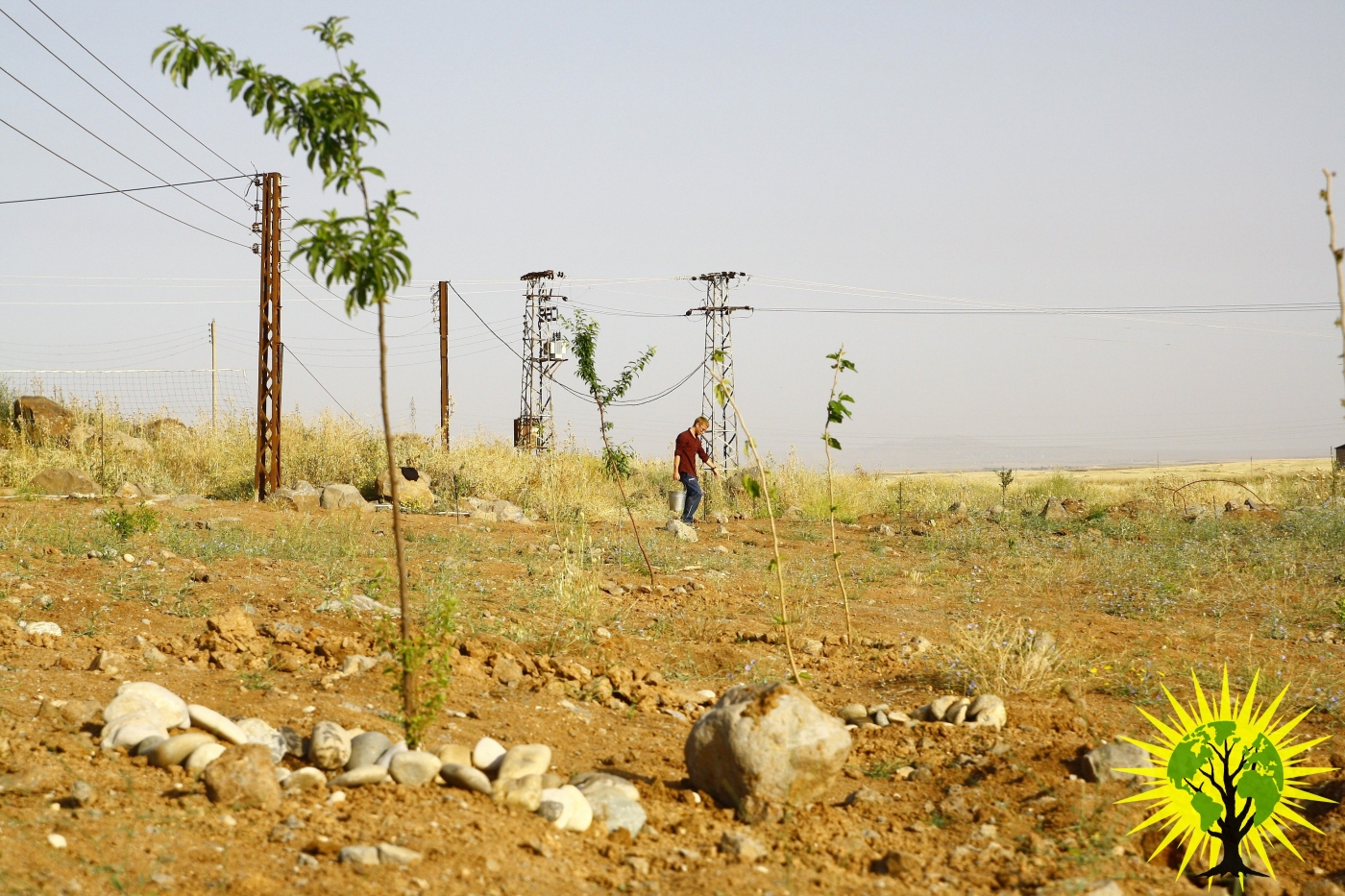 Make Rojava Green Again Picture Gallery May 2019 – Co-operation in ...