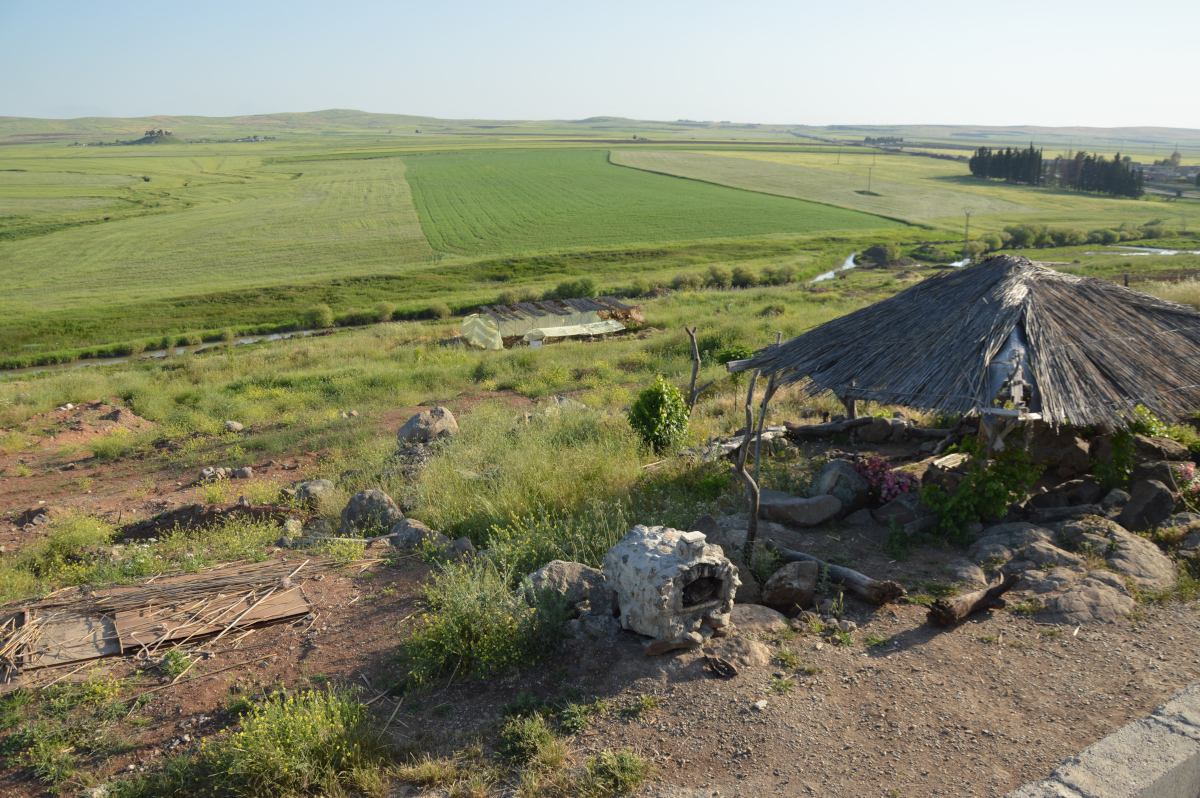 Make Rojava Green Again Picture Gallery April-May 2020 – Co-operation ...