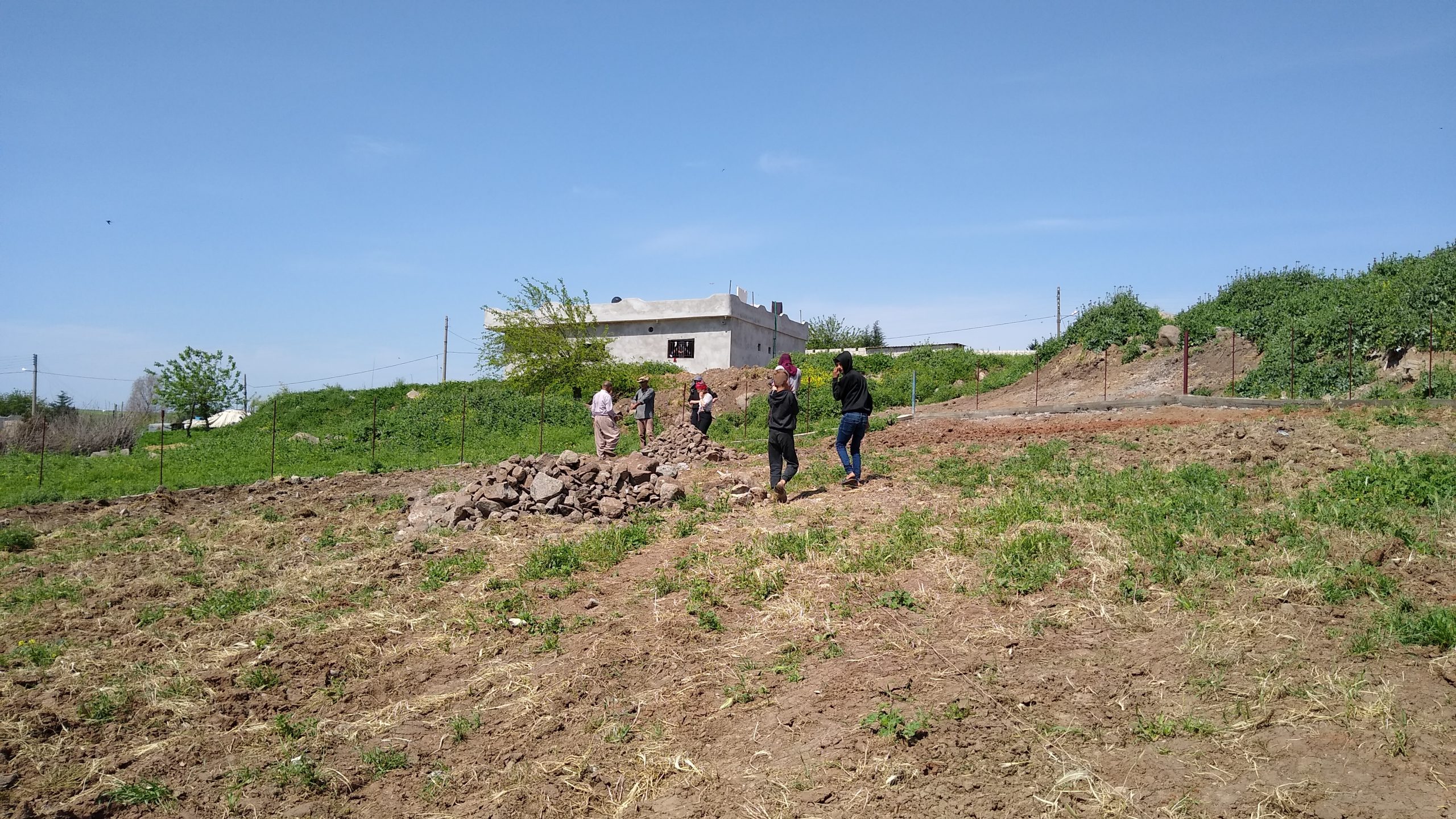 Make Rojava Green Again Picture Gallery April-May 2020 – Co-operation ...