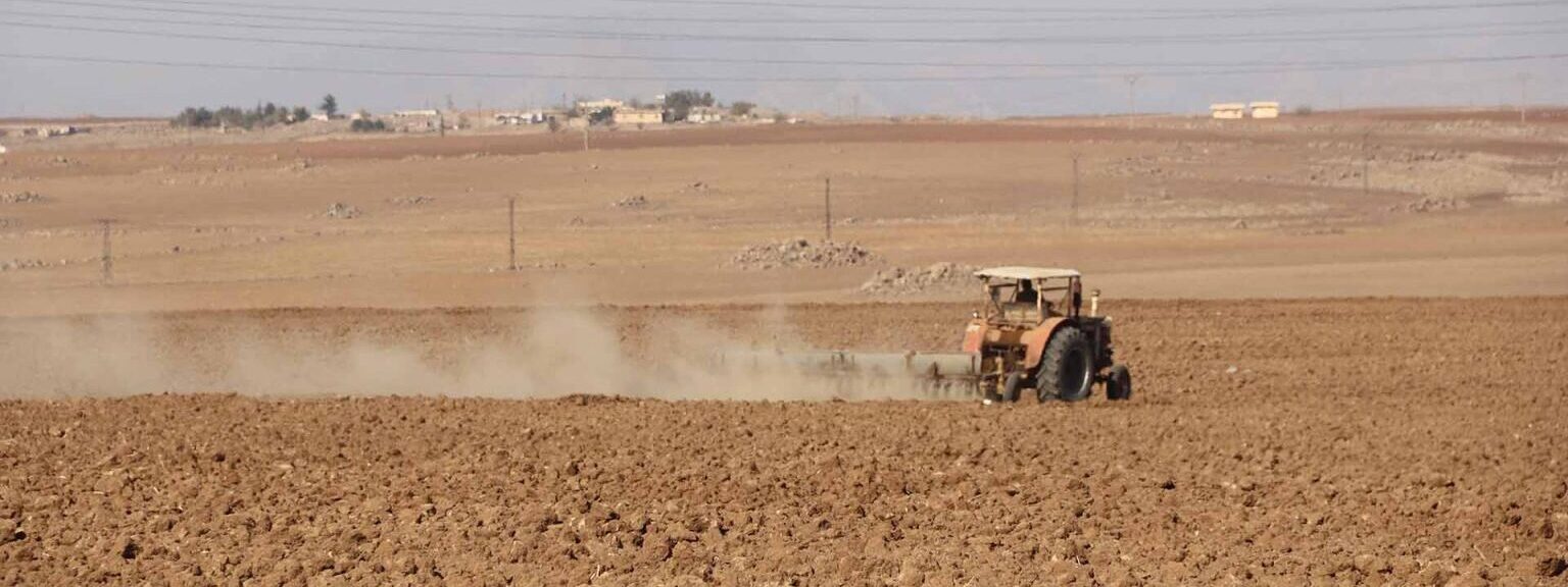 Farmers of northeast Syria fear another dry year – Co-operation in ...
