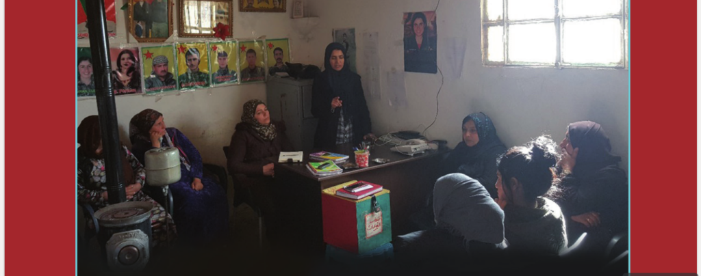 Anticapitalist Economy in Rojava: The Contradictions of the Revolution ...