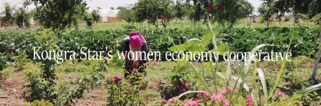 Rojava Women’s Co-operative DemSal – Co-operation in Mesopotamia